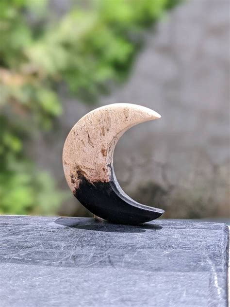 Fossilized Palm Root Crescent Moon Etsy