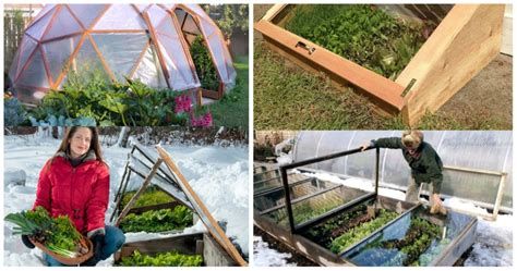 Необычные идеи теплиц на любой сезон и даже зимние варианты Вдохновляйтесь на будущий сезон