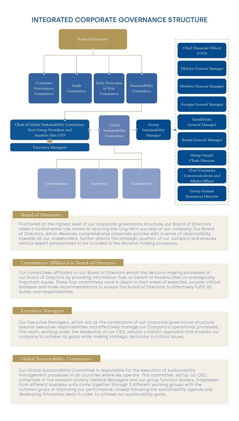 Integrated Corporate Governance Structure