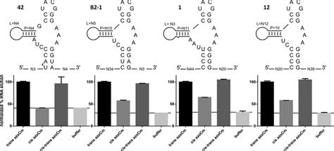Aptamer Binding Studies Above Secondary Structures Of Aptamer