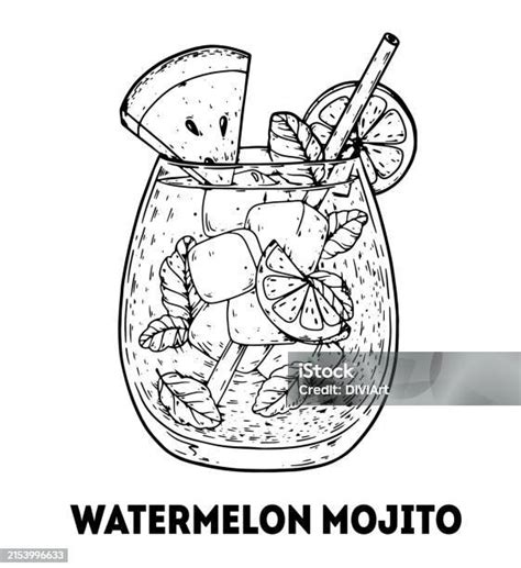 수박 모히토 칵테일 그림입니다 손으로 그린 스케치입니다 벡터 일러스트 레이 션입니다 고립된 개체입니다 Gin Tonic에 대한