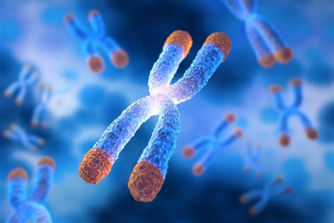 News Base Editing Uncovers Telomere Disorders Crispr Medicine