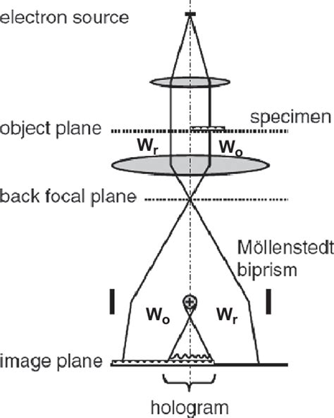 Basic Principle Of The Off Axis Electron Holography The Hologram In Download Scientific