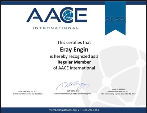 Projectcontrols Projectmanagement Aacei Eray Engin