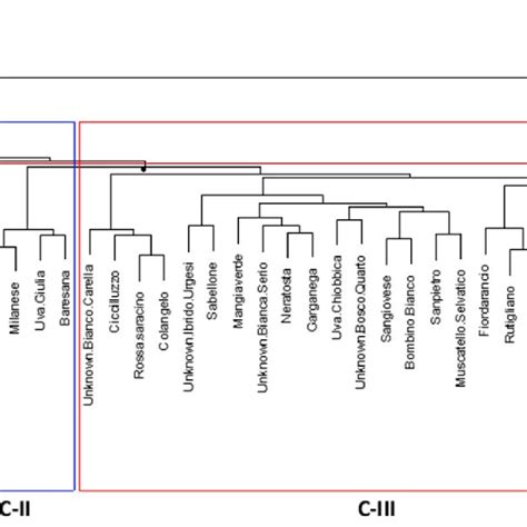 Awclust Derived Dendrogram Plot Showing How The 40 Genotypes Cluster Download Scientific