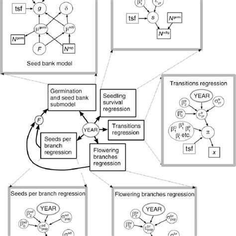 Graphical Representation Of The Bayesian Hierarchical Model Used To Download Scientific Diagram