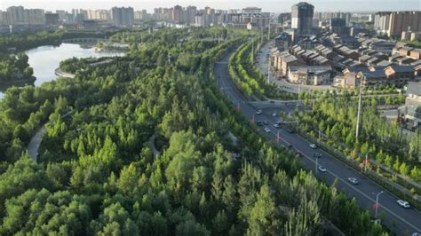 Milagre Verde No Maior Deserto Da China Revista Fórum