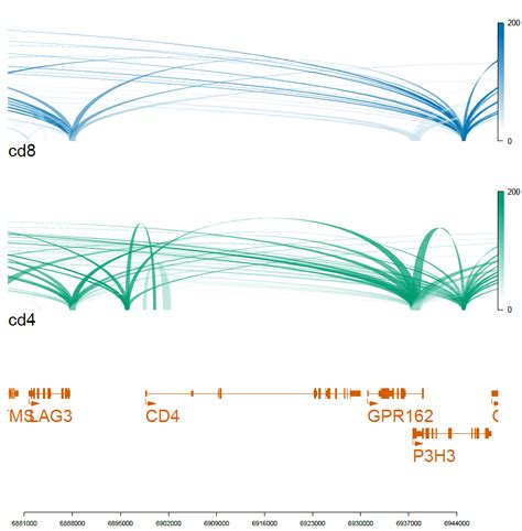 GitHub Jumphone InferLoop InferLoop Leveraging Single Cell Chromatin Accessibility For The
