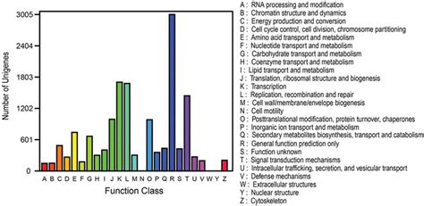 Cog Function Classification Of All Unigenes From The Rna Seq Of Anemone
