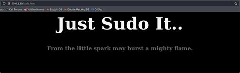 Vulnhub — Hackhathon Writeup Walkthrough FeritÖzner Medium