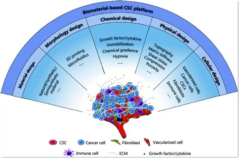 Schematic Representation Of The Composite Biomaterial Based Platform
