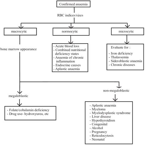 Diagnostic Algorithm For Anaemia Evalution Download Scientific Diagram Diagnostic Algorithm For Anaemia Evalution Download Scientific Diagram