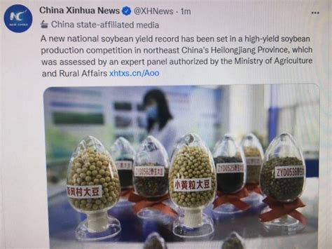 Soya Bean Seeds Butt Plug Rweird