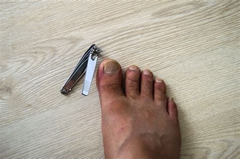 퍼스널 케어 사진 잘라 손톱이 위 발가락 손톱 발톱을 잘라 규모에 대한 스톡 사진 및 기타 이미지 규모 기상학 바람 Istock