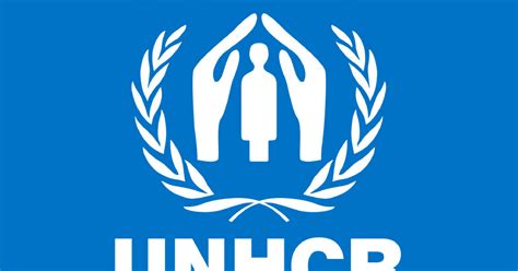 Angelina Jolie Addresses Un Security Council On Ongoing Refugee Crisis