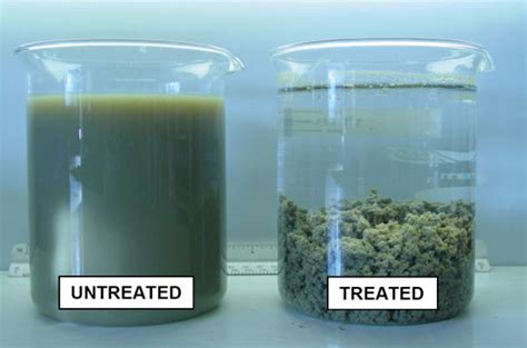 Flocculation Polymer Blufloc Cationic Polyacrylamide Flocculant For Sewage Treatment