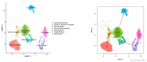 Get Colors From Seurat Dimplot 获取ggplot对象的颜色dimplot调整颜色 Csdn博客