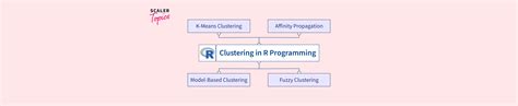 Clustering In R Programming Scaler Topics