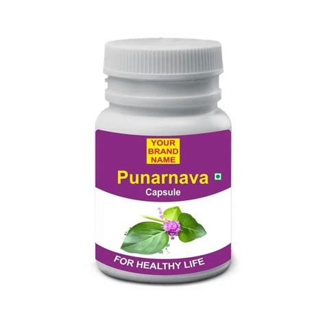 Punarnava Capsule 60 Capsules At ₹ 100 Bottle In Kanpur Id 2850645496433