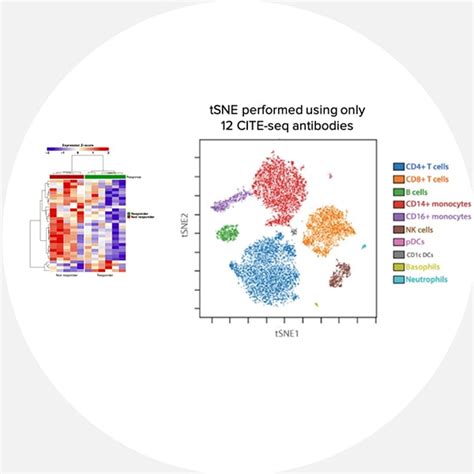 Gene Expression Services Nilogen Oncosystems