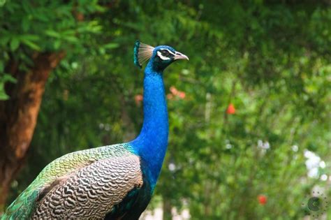 Jithesh M On Linkedin Campushiring Campusrecruitment