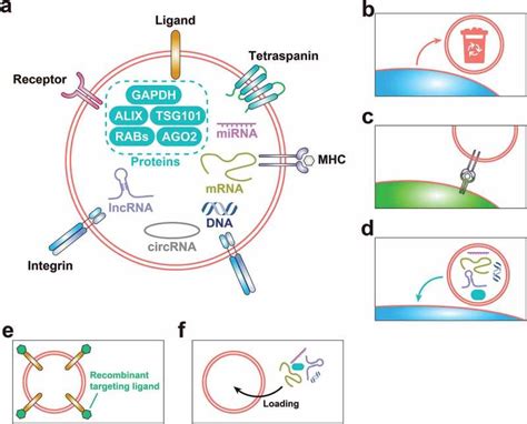 Microfluidics Based On A Chip Systems For Isolating And Analysing