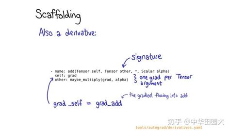 Pytorch 001 基本结构 内部机制 底层概览 知乎