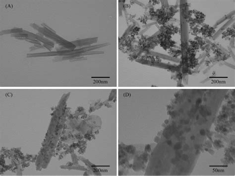 Tem Micrographs For Hnts A Fe3o4hnts C B And Fe3o4hnts S C D
