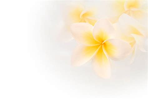 190개 이상의 Soft Sex Only 스톡 사진 그림 및 Royalty Free 이미지 Istock