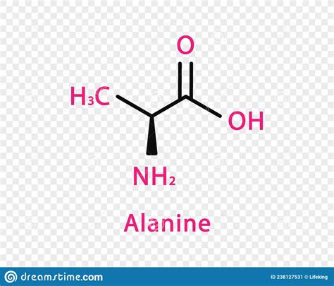 Alanine Chemical Formula Alanine Structural Chemical Formula Isolated