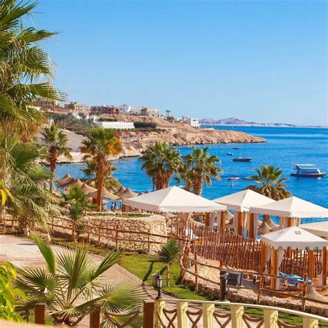 Горящие туры в Египет на июль 2025 ️ Отдых в Египте цены на путевки в июле