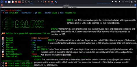 Xss Bugbounty Bugbountytips Hacking Infosec Informationsecurity… Black Hat Ethical