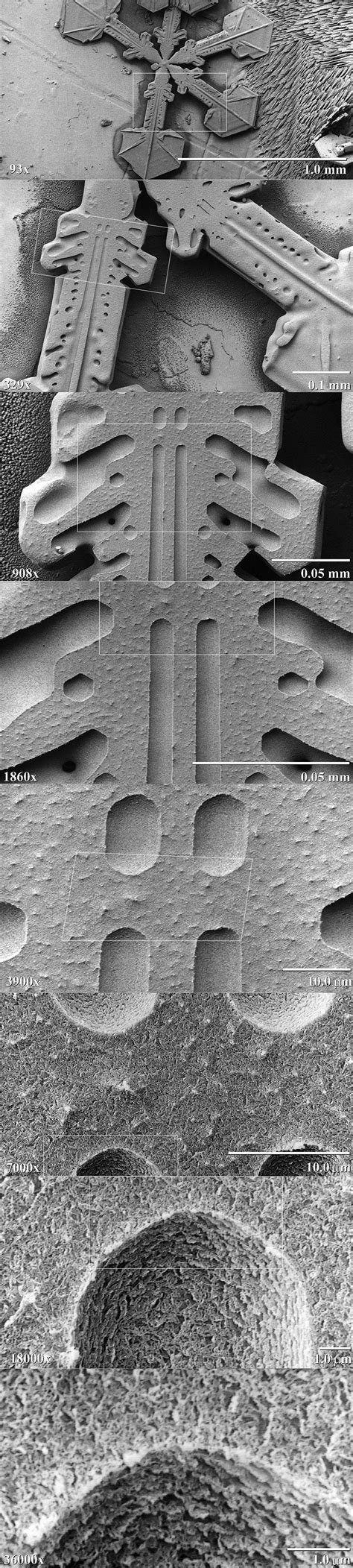 Scanning A Snowflake With An Electron Microscope R Interestingasfuck