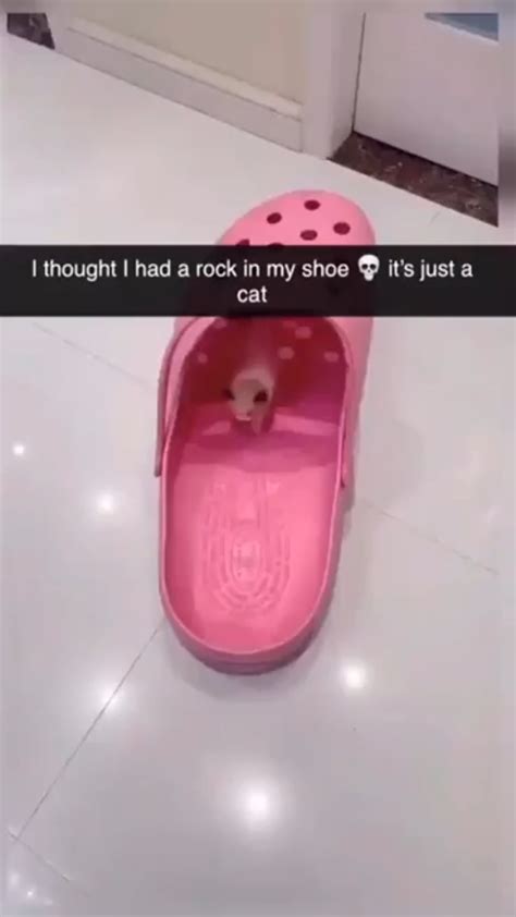 Miniscule Wunkus R Wunkus