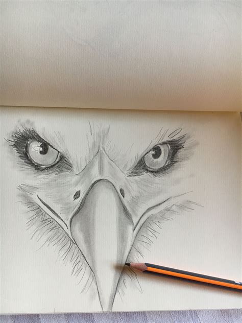 Bleistiftzeichnung Color Pencil Art Drawing Lessons Colored Pencils Sketches Pastel Birds