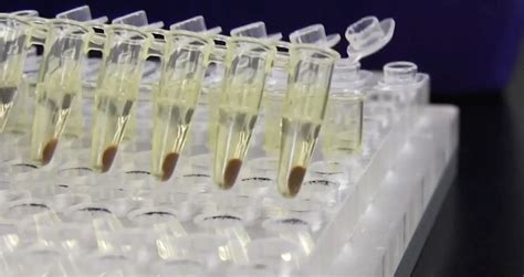 NGS Sample Prep Enduring Basics And Evolving Enzyme Kits