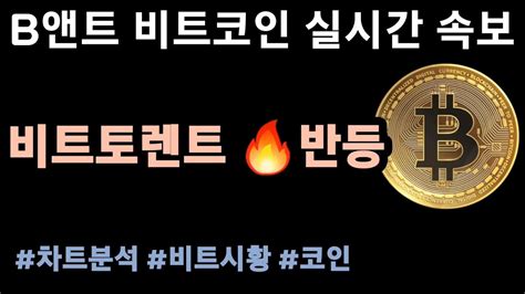 비트코인실시간 127 비트토렌트 100 이상 반등 리플 상승 비트코인 비트코인실시간 리플 이더리움 코인방송 도지코인 비트토렌트 Youtube