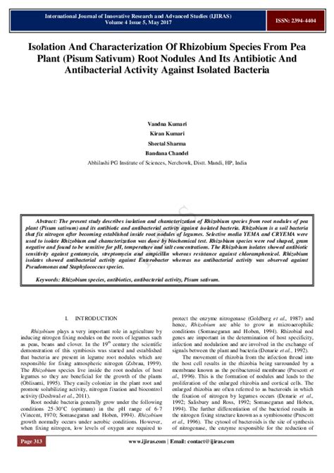 Pdf Isolation And Characterization Of Rhizobium Species From Pea Plant Pisum Sativum Root