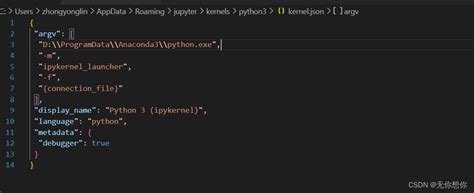 Jupyter Notebook无法启动内核无法启动 Kernel。 Csdn博客