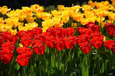 Data Science Towards Data Science