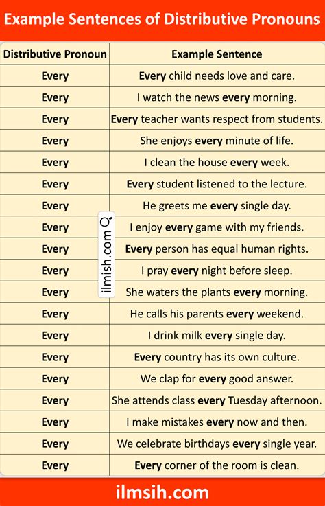 100 Example Sentences Of Distributive Pronouns In English Ilmish