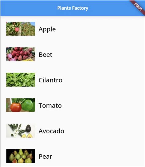 Customising Widgets In Flutter Made Easy By Niranjanky Medium