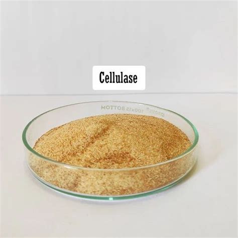 Cellulase At ₹ 249 Kg Neutral Cellulase Enzyme In Tiruchirappalli