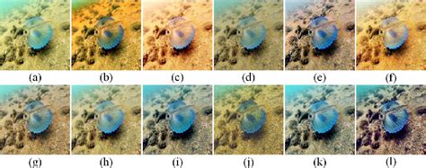 Figure From A Lightweight Multi Branch Context Network For Unsupervised Underwater Image
