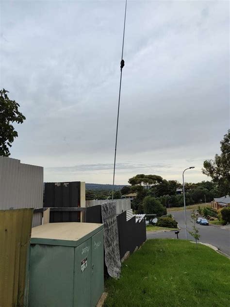 Woman Spots Gray Blob On Utility Pole — Then Realizes Its Someone