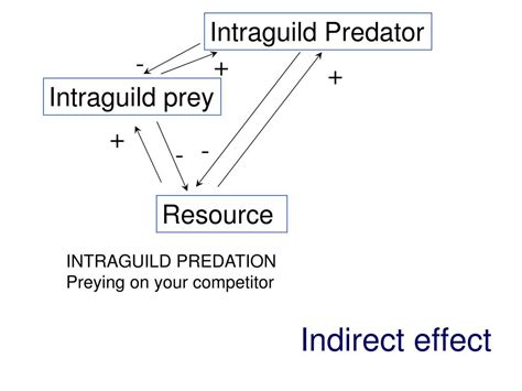 Ppt Beyond Keystone Predation Powerpoint Presentation Free Download Id5588771