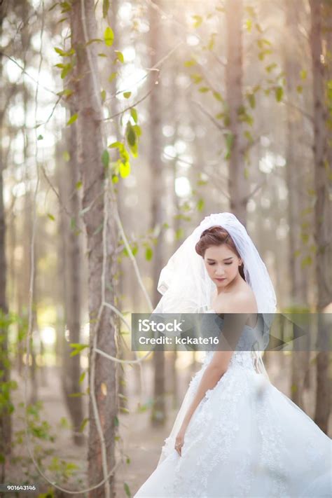 매력적인 젊은 신부 웨딩 드레스와 흰색 베일 착용 Rim 태양에서 빛 소나무 숲에서 혼자 서 겨울에 대한 스톡 사진 및 기타 이미지 Istock