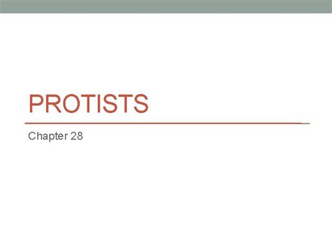 Protists Chapter 28 You Must Know Protista Are