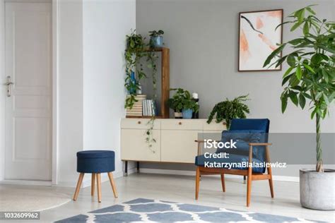 회색 플랫 캐비닛에 식물 포스터와의 자 인테리어에 파란 안락의 자 옆 팜 실제 사진 0명에 대한 스톡 사진 및 기타 이미지 0명 가구 가정의 방 Istock