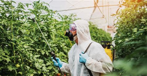 산업 농업 테마입니다 보호 스위트의 숙련 된 작업자는 재배 농장에 독성 제초제 또는 살충제를 뿌립니다 화창한 날에는 자연스러운 하드 라이트 사진 Unsplash의